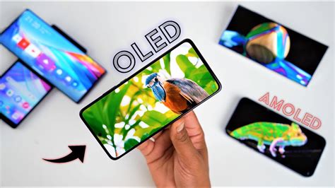 Egypt تعرف على انواع شاشات الموبايل Lcd And Amoled And Oled والفرق بينهم