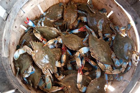 Understanding Bitcoins Algorithm And Breaking Sha256 By