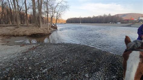 Шинэ долоо хоногийн мэнд манайхан By Монгол Морь Нохой Чарга