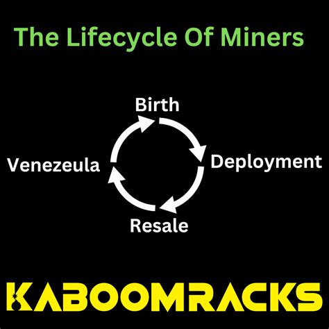 The Lifecycle Of Bitcoin Miners Evaluating Risk On Miner Purchases Kaboomracks
