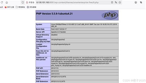 Wordpress系统获取webshell的攻略wordpress后台webshell Csdn博客