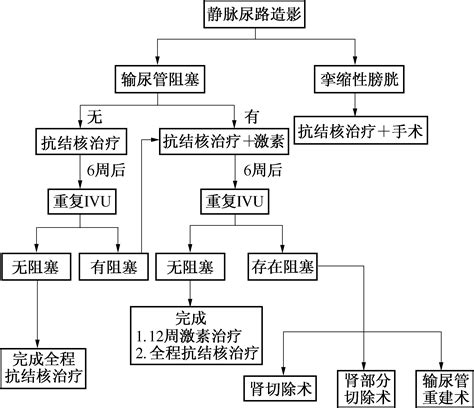 八肾结核 外科临床处方 医学
