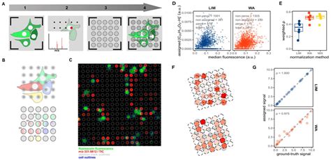 Evaluating Pixel Cell Deconvolution In Imaging Ms Based Spatial Download Scientific Diagram