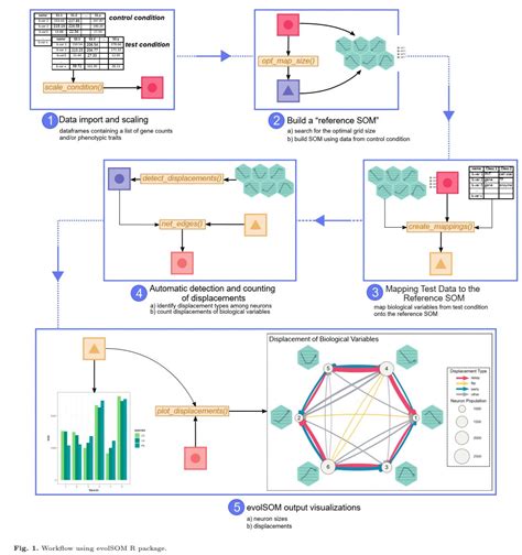 Simplify Complex Biological Data Analysis With Evolsom This Powerful R