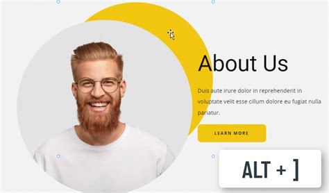 Nicepage 5 16 August 23 2023 Nicepage E Commerce Plugin For