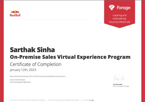 Sarthak Sinha On Linkedin Dataanalysis Experience Sales