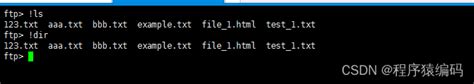 Linux Ftp服务器与客户端（ftp命令 Cc代码实现）ftp 客户端 1 发送命令 Is 2 发送命令 Pwd 3