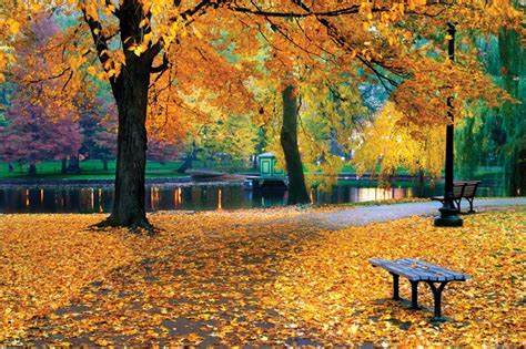 Autumn Definition Characteristics And Facts Britannica