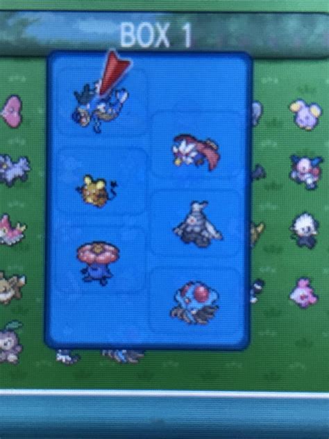 After A Few Attempts I Finally Beat My First Pokémon Omega Ruby Wonderlocke R Nuzlocke