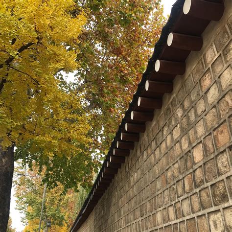 시들지않는꽃 프리저브드플라워 비록 잘못 내려 고궁을 한바퀴 돌았지만 가을색 짙은 운치있는 시간