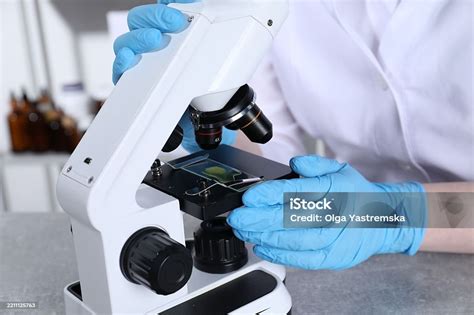 Laboratory Testing Scientist Examining Sample On Slide Under Microscope