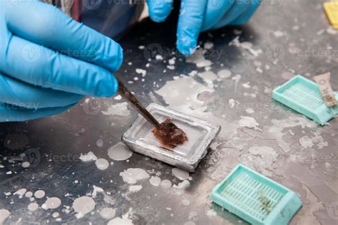 Scientist Embedding Tissues In Paraffin Blocks For Sectioning Pathology Laboratory Cancer