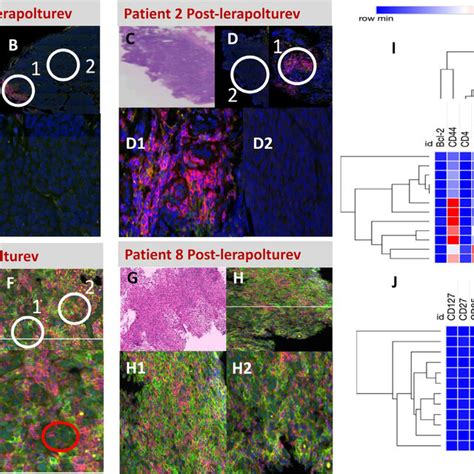 Nanostring Digital Spatial Profiling Dsp Of Tumor Tissue Nanostring Download Scientific