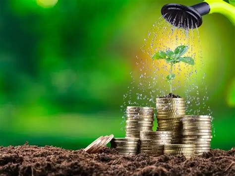 Buy Or Sell Dhiraj Agarwal On Identifying Winning Stocks In A Tough Market Environment Market