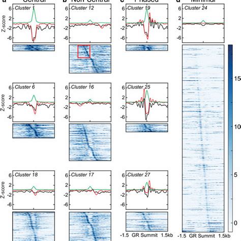 Schematic Representation Of Histone Modifications The Methylation