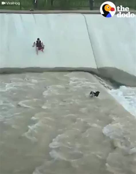 Bhargav Raju Konduru Posted On Linkedin