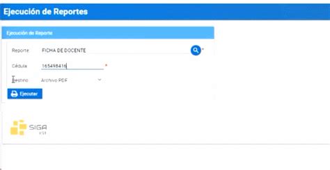 Generar Reportes Manual