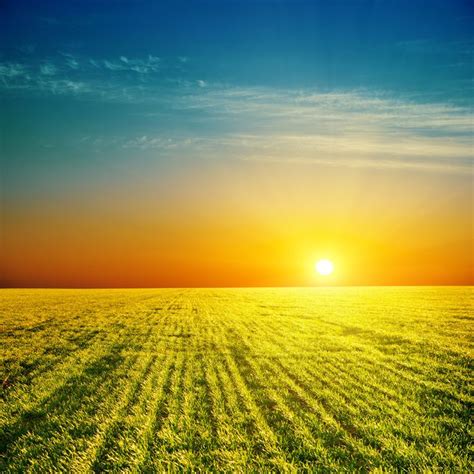 Latitude Run Sunset Over Green Field By Mycola Wrapped Canvas