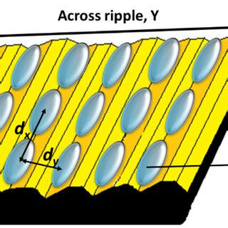 Schematic Representation Of Ripple Supported Array Of Elongated