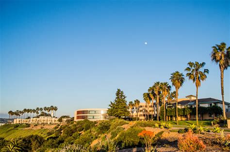 로욜라 메리 마운트 대학교 캠퍼스에서 로스 앤젤레스의 아름 다운 전망 0명에 대한 스톡 사진 및 기타 이미지 0명 경관 나무 Istock