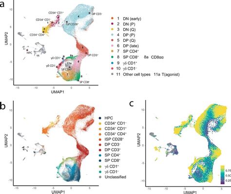 Integration Of Bulk RNAseq With Single Cell RNAseq Of Human Postnatal Download Scientific
