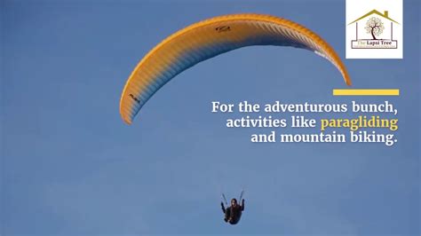 Lapsi Tree Video Youtube