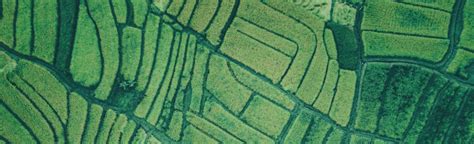 Scope 3 Calculation Methods Everything You Need To Know Emitwise