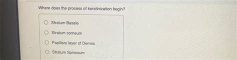 Solved Where Does The Process Of Keratinization