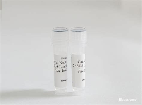 X Sds Loading Buffer Recipe Dtt Deporecipe Co