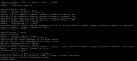 Rman Backup With Archivelog 2022 Best Pactice