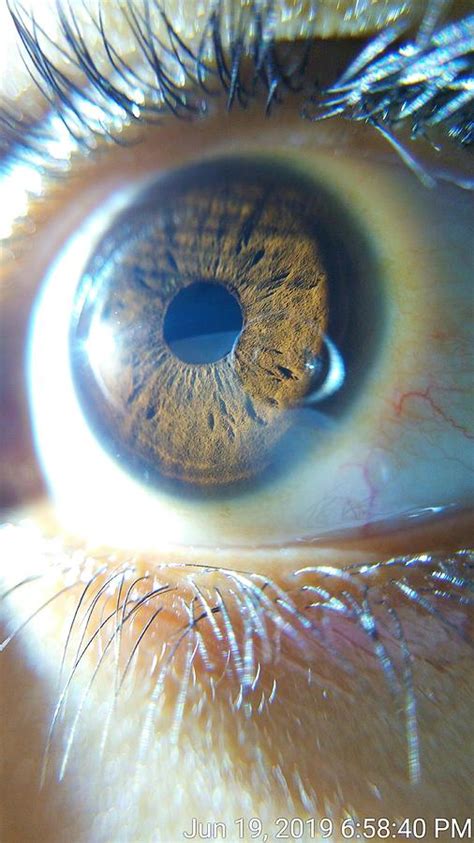Hazal Eye Photograph By Munazza Batool Pixels