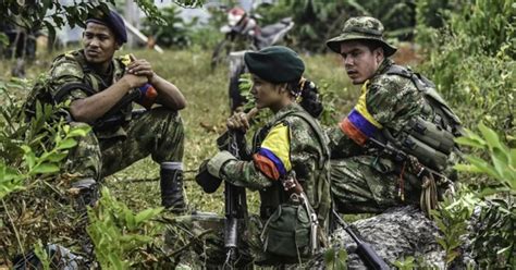 Así Se Reunificó Uno De Los Grupos De Disidencias De Las Farc Infobae