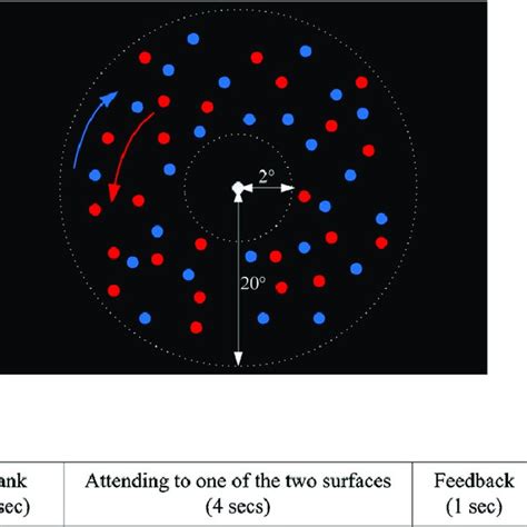 The Experimental Paradigm A Stimulus B Timing Download