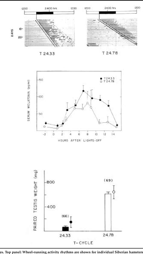 Retinohypothalamic Tract Semantic Scholar