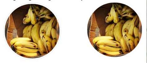 make images responsive by bootstrap 4 img classes