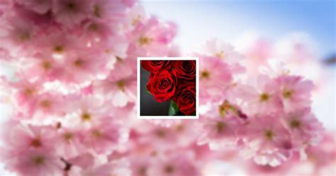 Obituary Debra Ann Demeree Of Huntsville Alabama Berryhill Funeral Home And Crematory