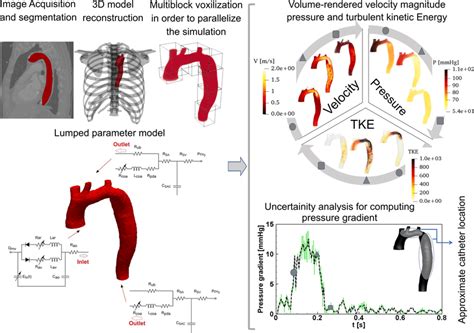 Reconstructed Geometry And Simulation Domain We Used Ct Images From Download Scientific