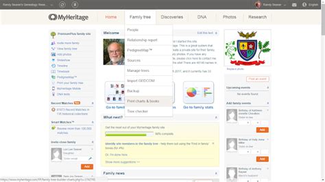 Genea Musings Dear Randy How Do I Make A Bow Tie Chart In Myheritage