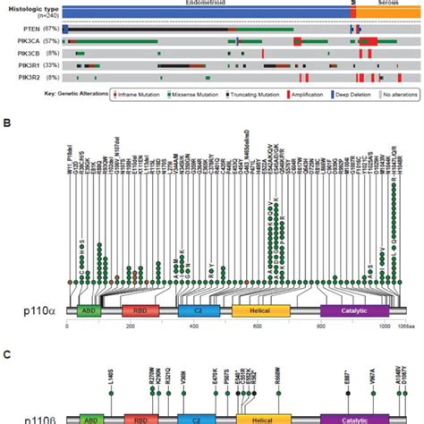 Class Ia Pi3k Activation Class Ia Pi3ks Consist Of A Catalytic Subunit