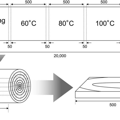 Cutting Diagram Of The Specimens Download Scientific Diagram