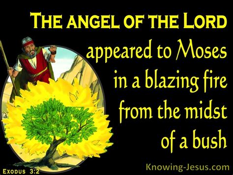 6 Bible Verses About Burning Bush