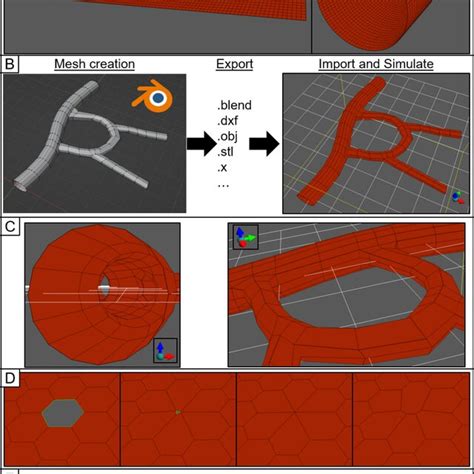 select examples of vertex model capabilities in tissue forge a mesh