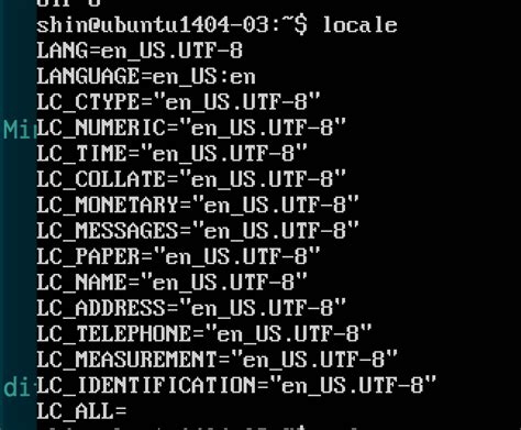 mac ubuntu on virtualbox character outputs differently super user