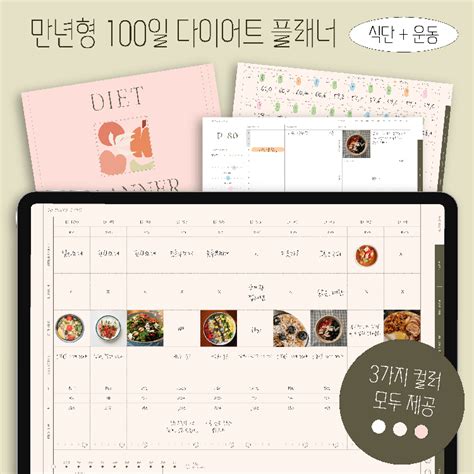 100일 다이어트 플래너 만년형 위버딩