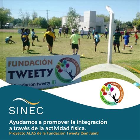 Sinec Sa En Linkedin Sinec