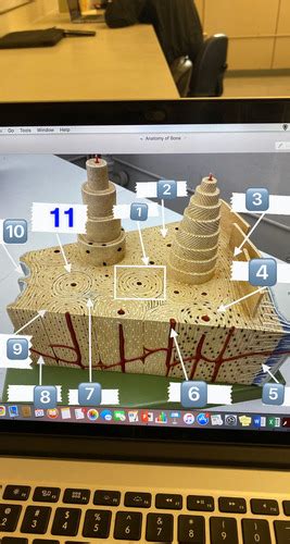 Module Flashcards Quizlet
