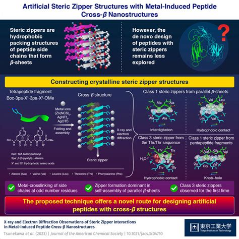 Artificial Peptide β Sheets Exhibit Steric Zipper Interactions Mirage