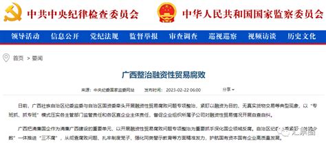 广西整治融资性贸易腐败 自治区 企业 监管