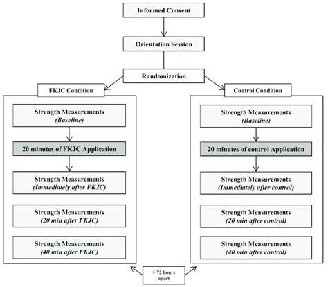 Flow Chart Of Testing Procedures Download Scientific Diagram