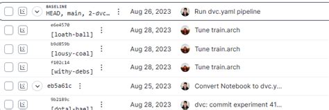 Run Experiment Allow To Provide Custom Message Issue 4623